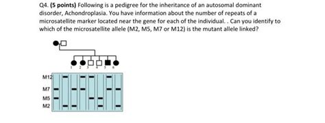 Solved Q4 5 Points Following Is A Pedigree For The