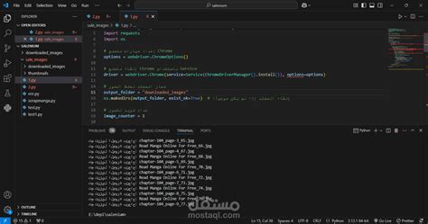 Web Scraping Images By Python Selenium مستقل