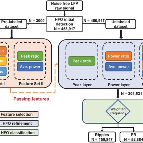 Schematic Diagram Of The Hfo Detection Pipeline In The Hfo Refinement