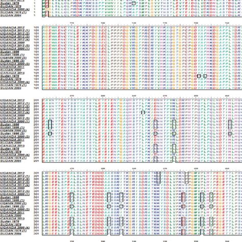 Multiple Sequence Alignment The Most Mutated Region Dots Show The