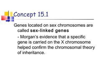 Chapter 15 PPT