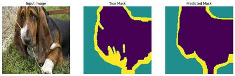 semantic segmentation with model garden tensorflow core