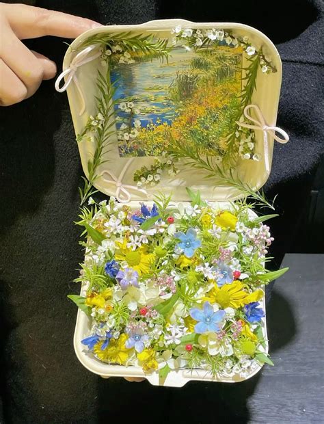 ไอเดีย ดอกไม้ 17 รายการ ในปี 2025 ดอกไม้ ดอกไม้สวย ๆ ดอกไม้สวย