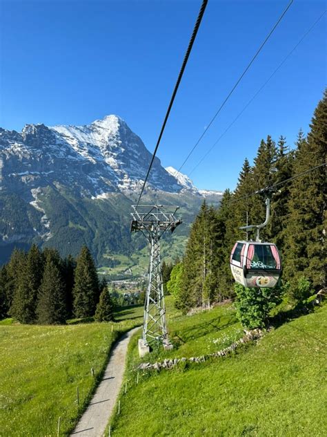 스위스 여행 그린델발트 숙소 피르스트 롯지 2박3일 조식 추천 후기 ♥ 네이버 블로그
