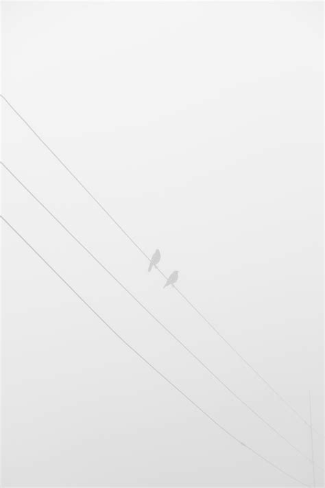 How To Fix Error While Installing This Theme Buffer Out Of Range”