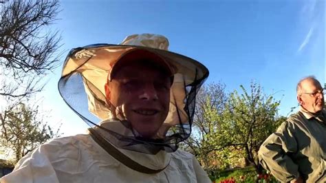 ПОЇЛКА ДЛЯ БДЖІЛ Яку воду люблять бджоли Де і як пють бджоли Чому топляться бджоли Youtube