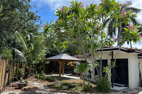 A Partial List Of Native Florida Shrubs Vines Trees Palms And Grasses Sustainable