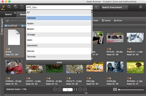 Query Based Searching Evolphin Documentation