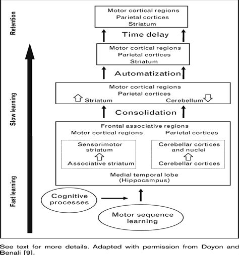 motor sequence learning and movement disorders current opinion in