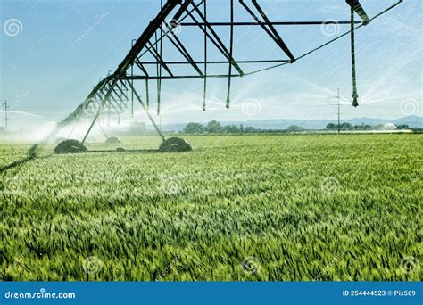 Wheat Field Irrigation On An Idaho Farm Stock Image Image Of