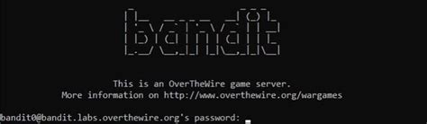 Sshing Into A Server Using Bash Script Not Working As Expected Rbash
