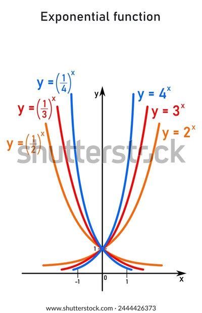 Exponential Functions Color Coded Graphs Six Different Stock Vector