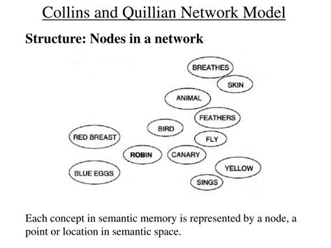 PPT Semantic Memory Memory For Meaning Permanent Memory Store Of General World Knowledge