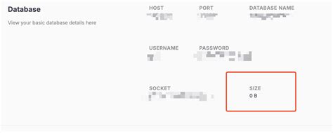 Local Site Takes 30s To Load A Page With Devkinsta Application