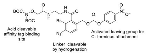 Downstream Processing Purification Isolation Of Peptides Wordpress