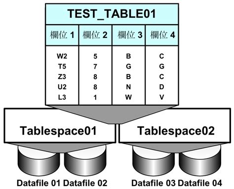 database info partition table