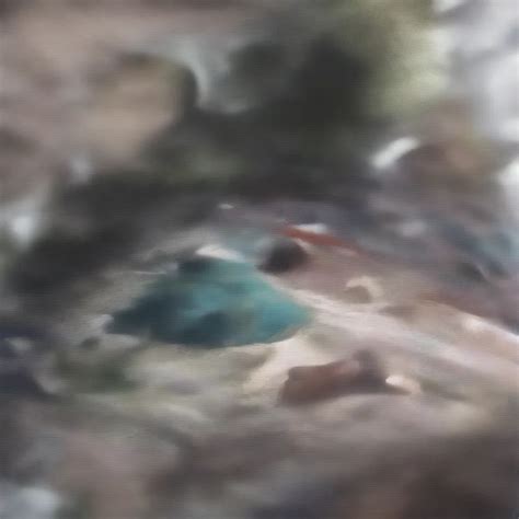 Exploring Earths Climate History A Comprehensive Timeline