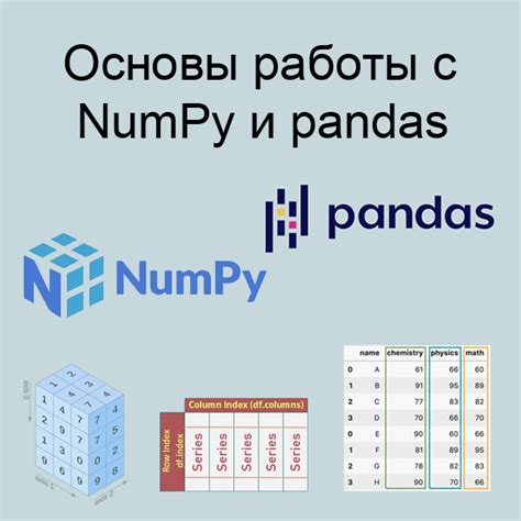 Курс по основам работы с numpy и pandas с проверкой ДЗ digital