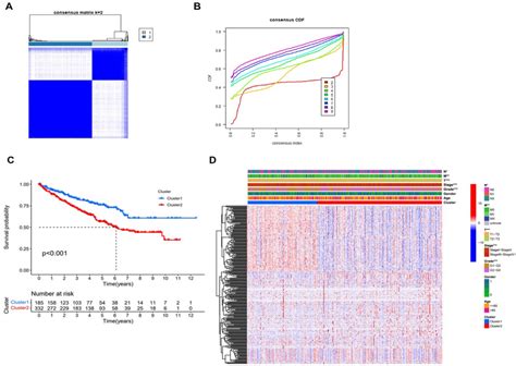 classifcation of cluster a consensus clustering matrix b cdf