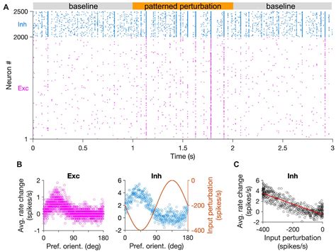 Figures And Data In Patterned Perturbation Of Inhibition Can Reveal The Dynamical Structure Of