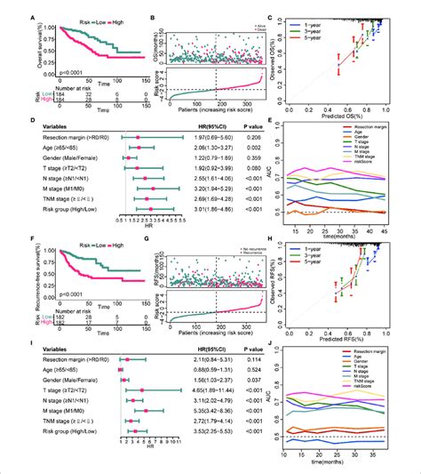 Prognostic Performance Of The 8 Gene Signature In The Tcga Validation