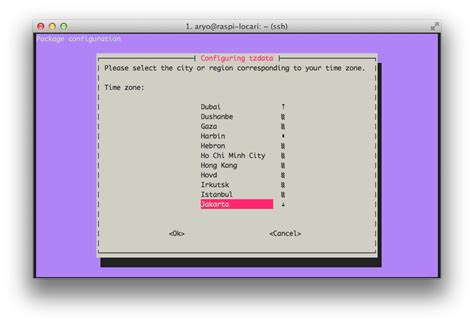 raspberry pi time zone setting at april langdon blog