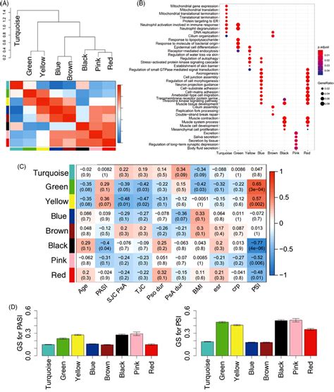 Weighted Gene Co‐expression Network Analysis Wgcna Construction For Download Scientific