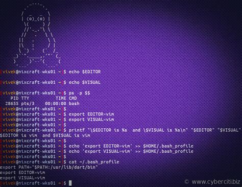 Visual Vs Editor Variable What Is The Difference Linux Bash