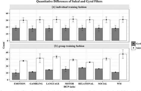 Figure 6 From The Cerebral Cortex Is Bisectionally Segregated Into Two