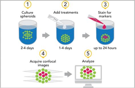cell counting tektalk newsletter