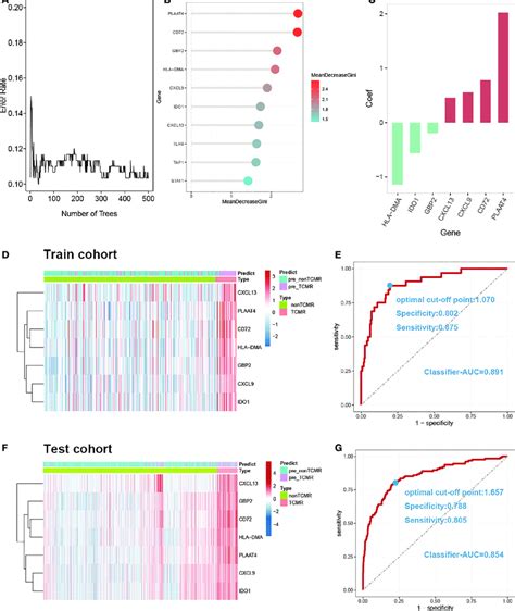 Construction And Verification Of Diagnostic Prediction Model A