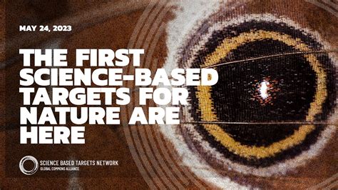 Science Based Targets for Nature released - Business for Biodiversity Ireland