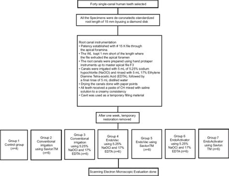 Evaluating The Efficacy Of Different Techniques And Irrigation Solutions For Removal Of Calcium