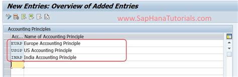 Define Accounting Principle In SAP S HANA SAP Hana Tutorials