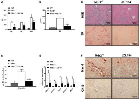 The Mgl Inhibitor Jzl184 Ameliorates Biliary Fibrosis And Inflammation