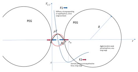 Entropy Free Full Text Entropy And Entropic Forces To Model Biological Fluids