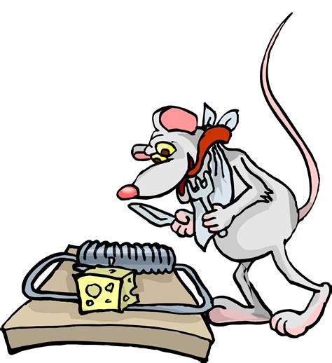 Mouse Not Going Into Trap Keep Bugs Away