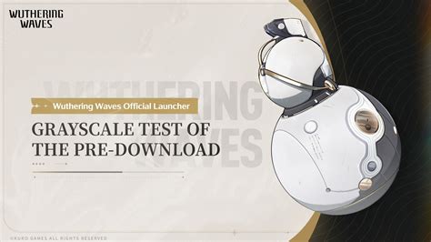wuthering waves official launcher pre download feature available soon