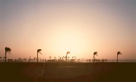 Mastering Agile Software Development Methodologies — Association Of Registered Web Designers