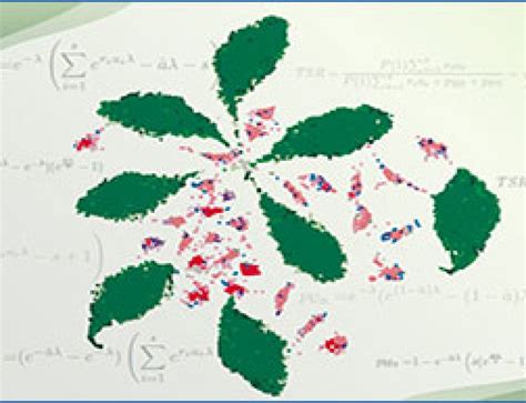 Borzoi Predicting Rna Seq Coverage From Dna Sequence As A Unifying Model Of Gene Regulation