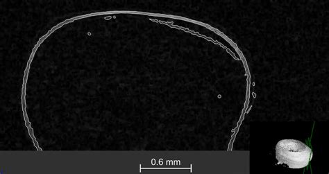 Visual Simulation Run To Examine Boundary Layers Download Scientific