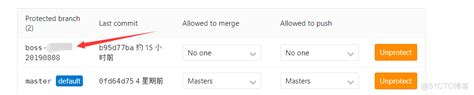 Gitlab 分支保护设置 51cto博客 Gitlab分配权限