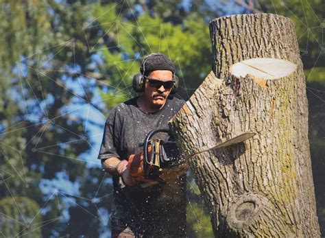 Tree Management Software Opengov