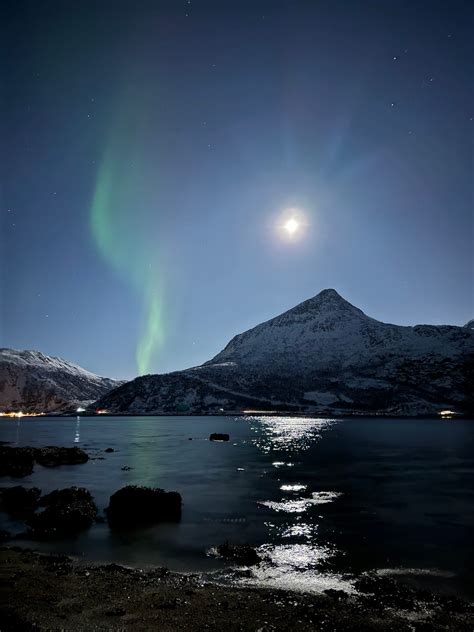 Class 01 Ke Li Medium