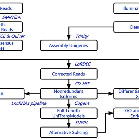 Pipeline Used For Analysis Of Hybrid Sequencing Data Download