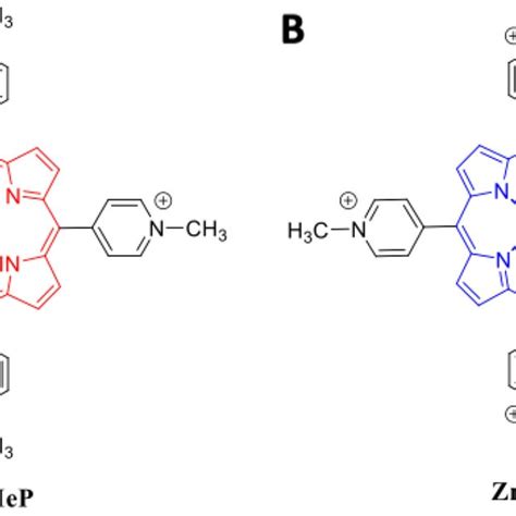 Representative Structures Of Tetra Cationic Porphyrins Used In This Download Scientific Diagram