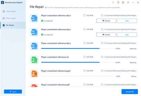 Check Your Professional And Reliable File Repair Expert