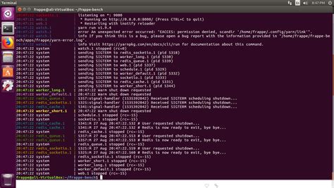 Cannot Start Frappe Via Bench Start Command Frappe Forum