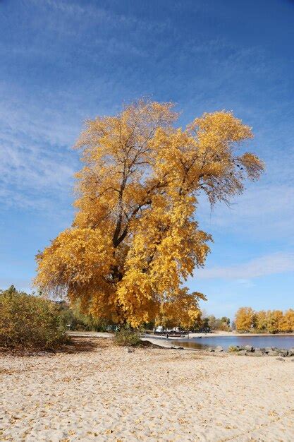 Premium Photo Unspoiled