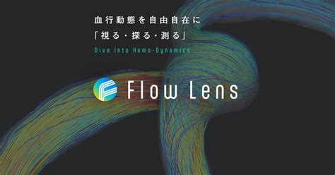 Flow Lens 脳動脈cfd血流解析 研究支援 ソフトウェア スイート